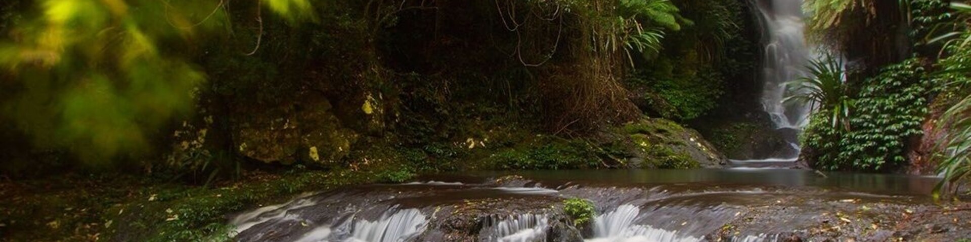 Elabana Falls. Love the way the light glows through the leaves onto the rock and moss giving it some extra colour in this shot #green