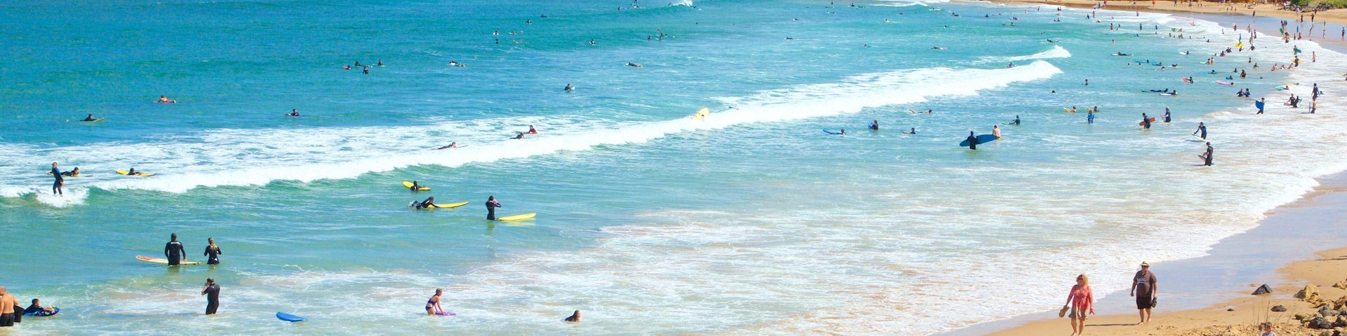 Torquay featuring a bay or harbor as well as a large group of people