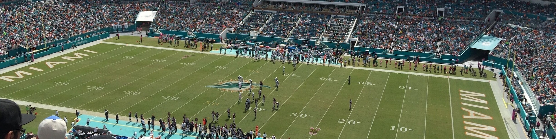 Home of the Dolphins