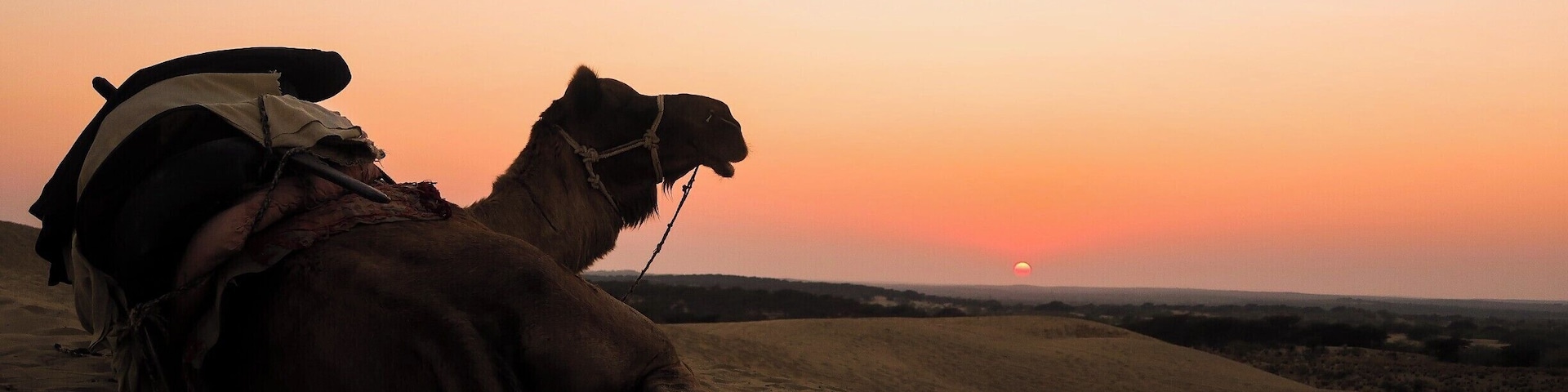 What definitely not to miss when in Rajasthan - the sand dunes of Khuri village.....
Located 50 kms away from Jaisalmer, Khuri is an off-beat destination, least frequented and terribly underrated. It is a must visit in Rajasthan....