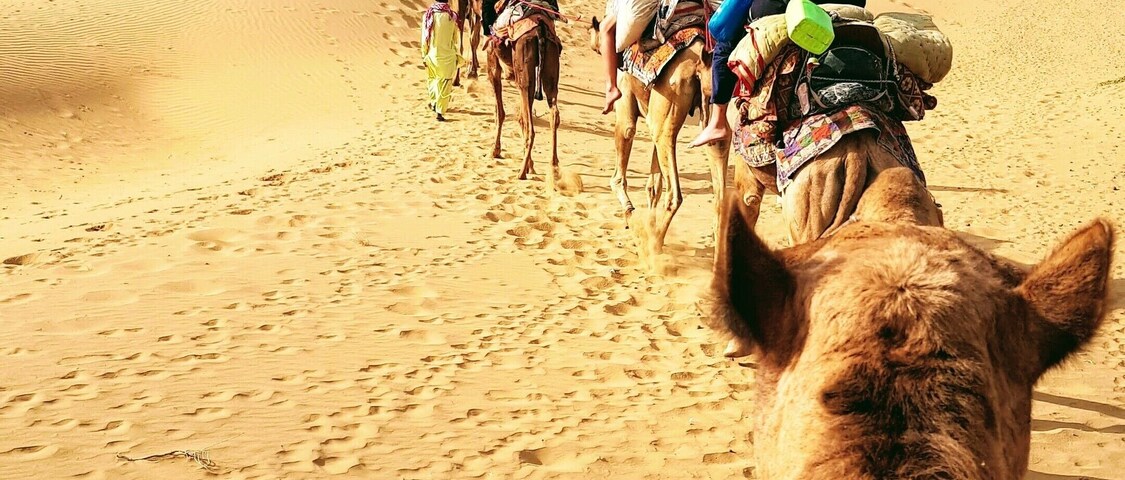 Camel Safari in Jaisalmer where you can sleep under the stars ❤
#india
#camelsafari 
#jaisalmer