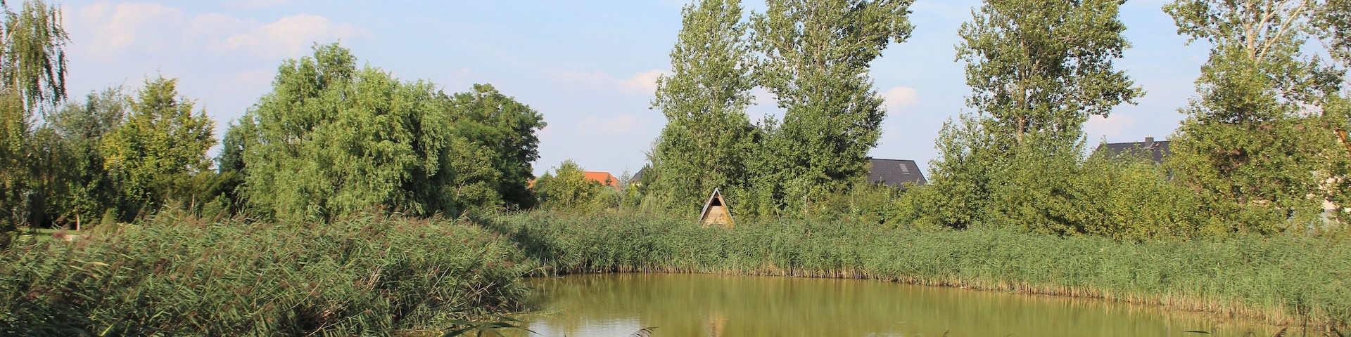 Großwülknitz ist ein Dorf in Sachsen-Anhalt, Deutschland.