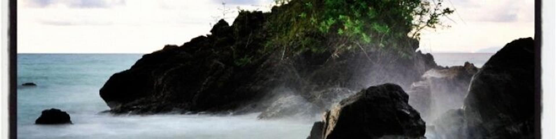 Uma costa rochosa com uma ilha coberta por árvores e águas calmas.