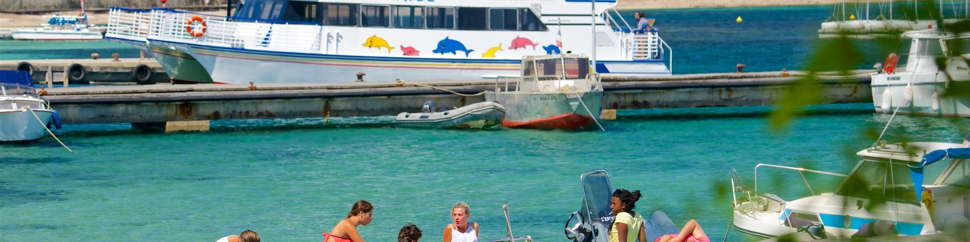 Ile Sainte-Marguerite showing a ferry as well as a small group of people