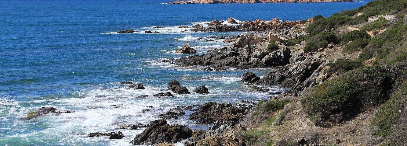 Litoral rochoso com ondas quebrando na costa, uma ilha distante e vegetação escassa.