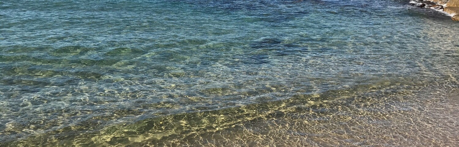 Dine at the Beach Shed in Dee Why for amazing views accompanied by coffee and avo on toast! #LifeAtExpedia #MyLocal