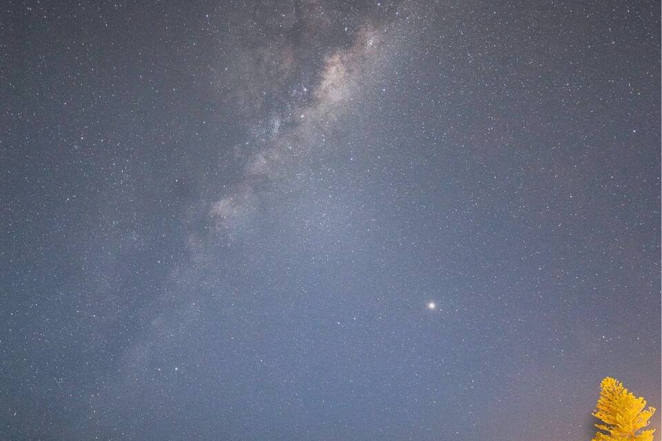 Céu estrelado sobre uma praia, com a Via Láctea visível, um rastro de luz e uma árvore ao longe.