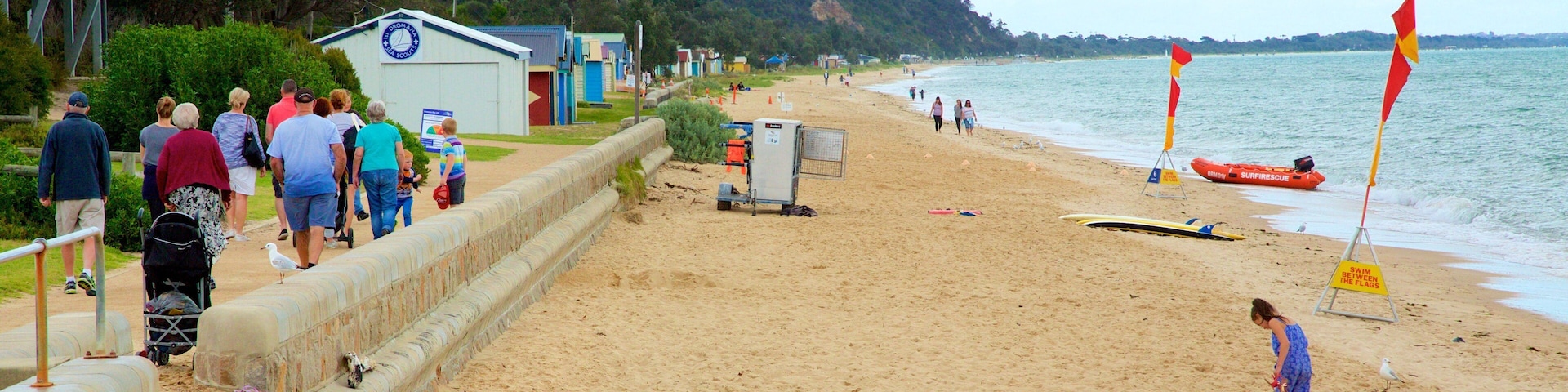 Dromana showing a sandy beach as well as a large group of people