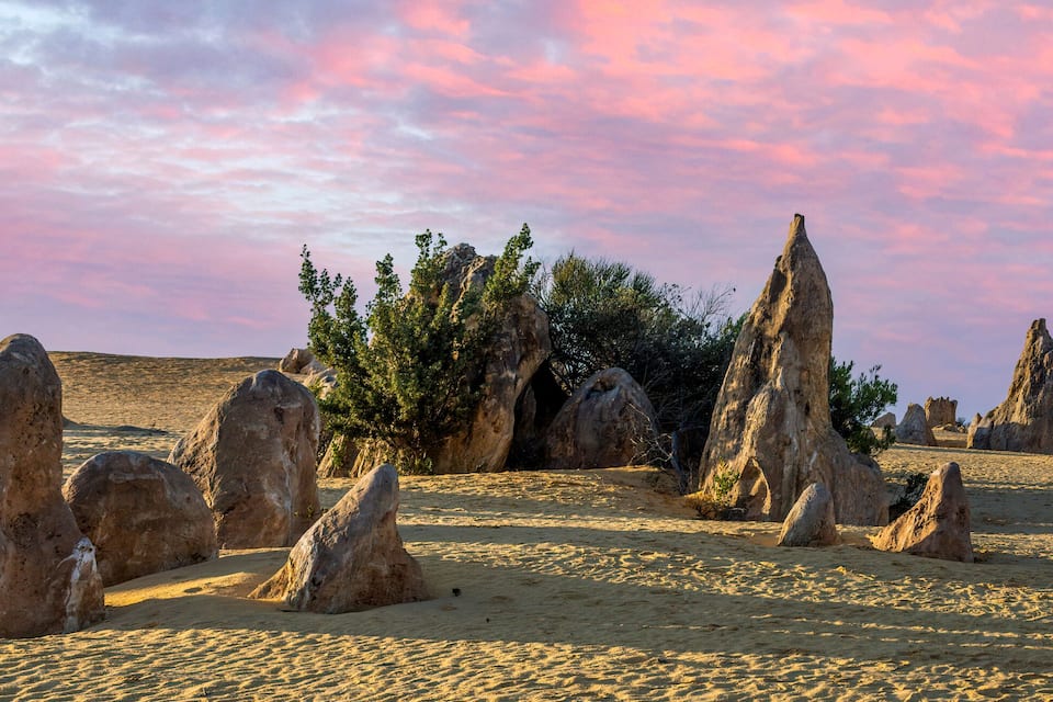 Paisagem desértica com formações rochosas singulares e vegetação escassa.