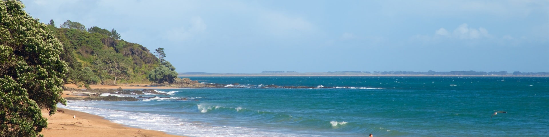 Cable Bay que inclui paisagens litorâneas e uma praia assim como um homem sozinho