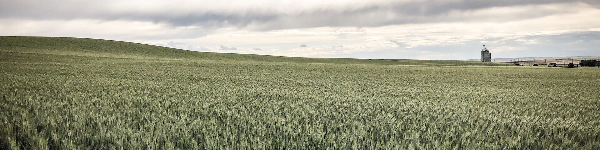 With rolling hills not unlike those in Tuscany, Walla Walla is a beautiful weekend escape from Seattle to a drier and more peaceful wine country.
#lifeatexpedia #winecountry #GreatOutdoors #Nature