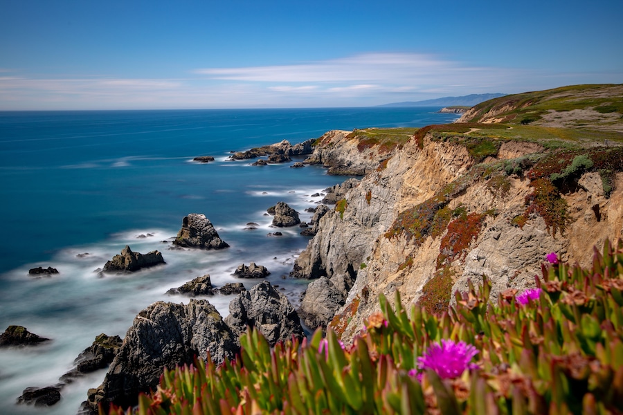 Paisagem costeira com falésias rochosas, mar azul cristalino e flores vibrantes em primeiro plano.