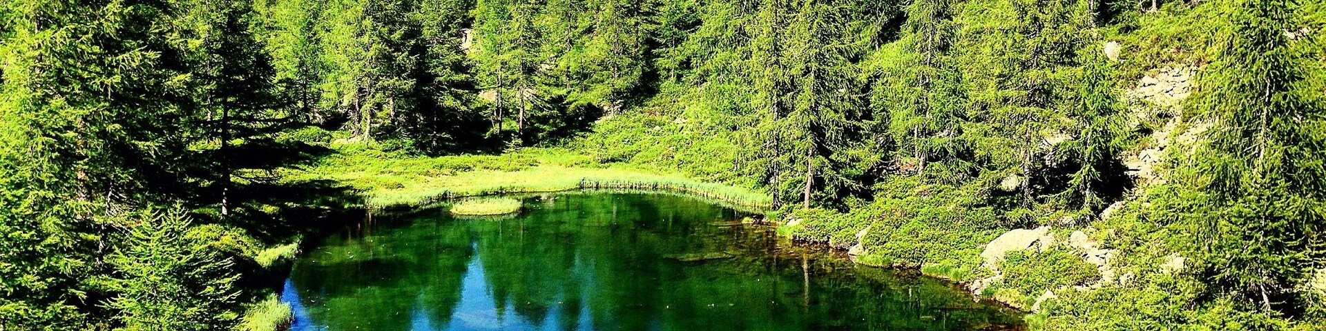 A place came out from fairytales.
Alpe Larecchio is a beautiful grassy valley surrounded by larch trees, crossed by a winding river full of fish and dominated north by Corno Bianco (3320m slm).