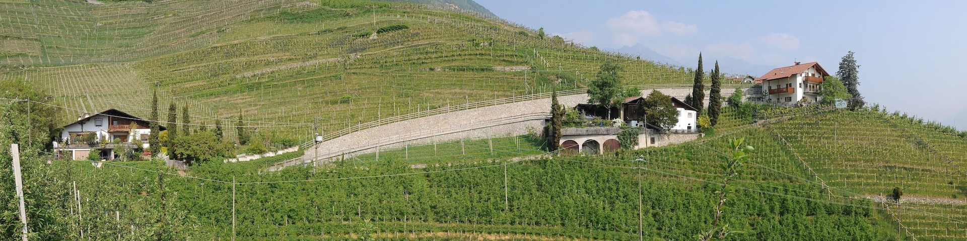 This media shows the cultural heritage monument with the number 17736 in South Tyrol.