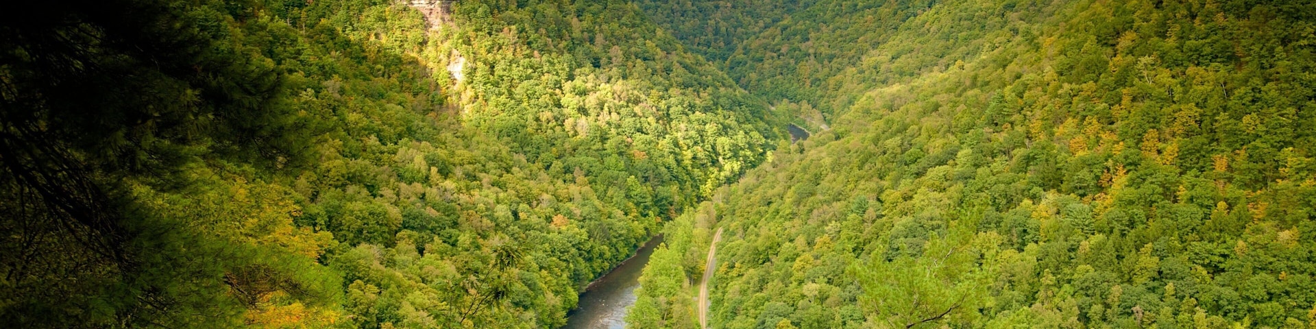 Erie which includes forests and a gorge or canyon
