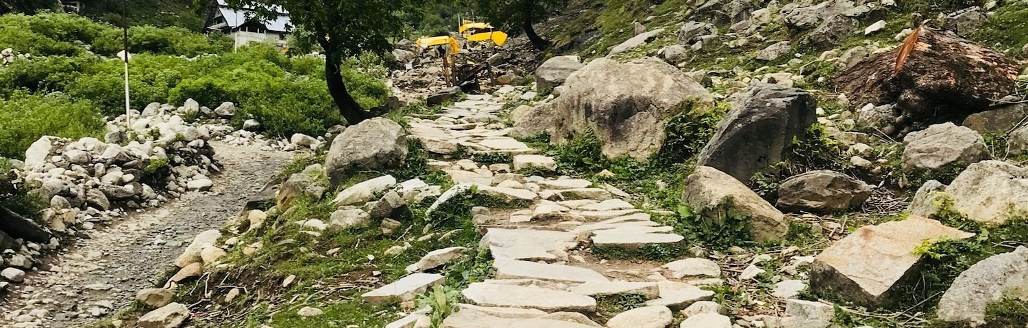 Clean and green solang valley!⛰
