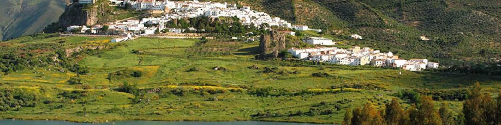 #Green in El Bosque, Andalusia Spain