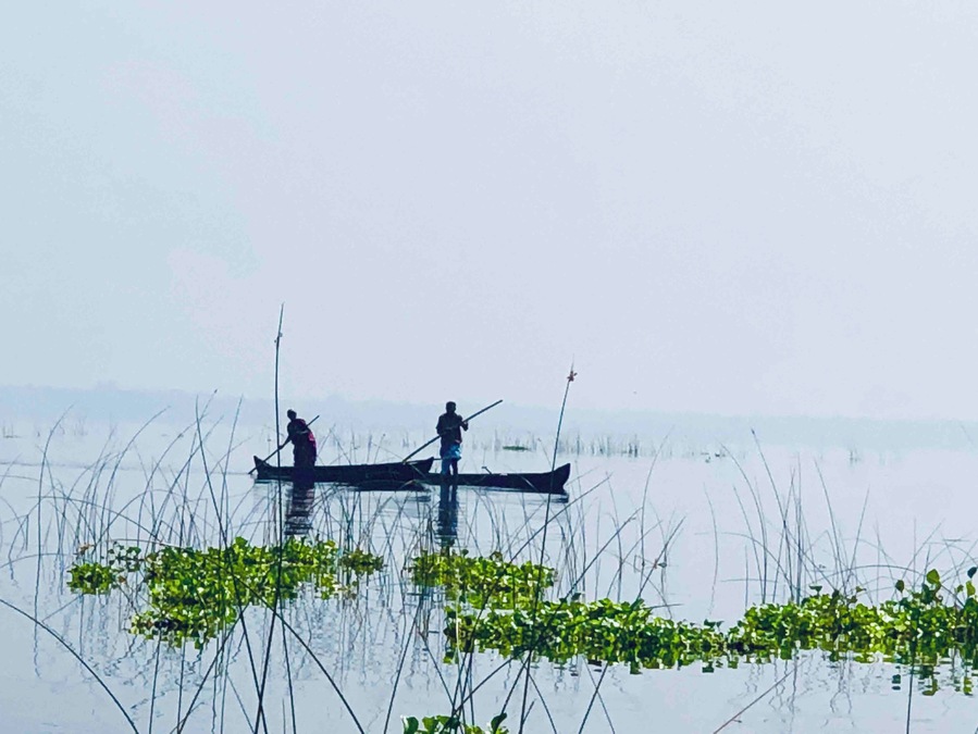 Tranquil waters on a foggy morning !