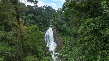 Uma cascata rodeada por uma floresta densa.