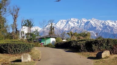 Uma estrada rural com uma casa verde, arbustos e montanhas cobertas de neve ao fundo.