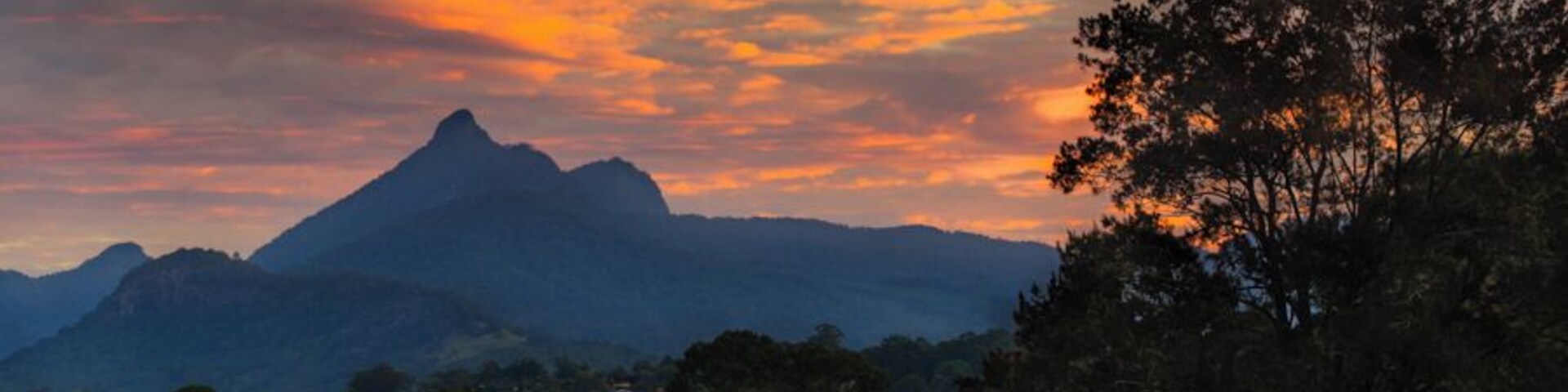 Sunset over the iconic Mt Warning. Thousands of people make the 5 hour return trek up the mountain to see the first light from the Australian Mainland.
This was certainly the busiest bushwalk I've ever done, but the view was pretty good. This image was captured from Murwillumbah.
#goldenhour