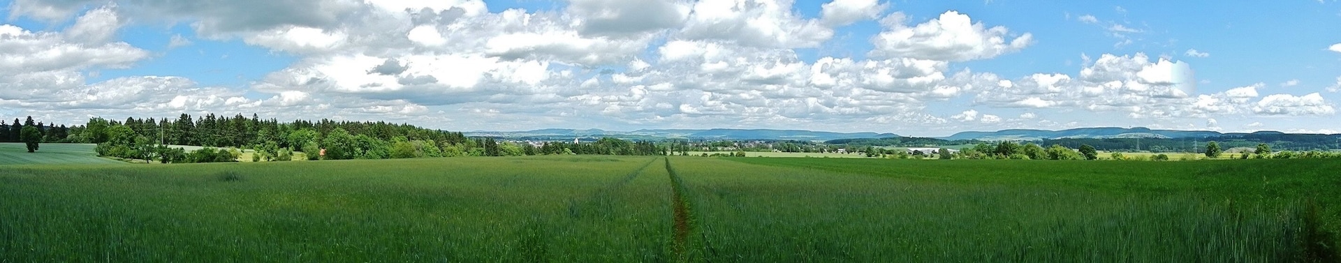 Baarblick