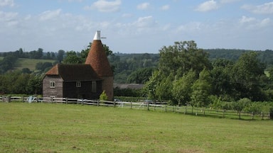 Uma casa tradicional com telhado de palha e formato cónico, rodeada por uma vedação branca, situada num campo verdejante com árvores e colinas ao fundo.