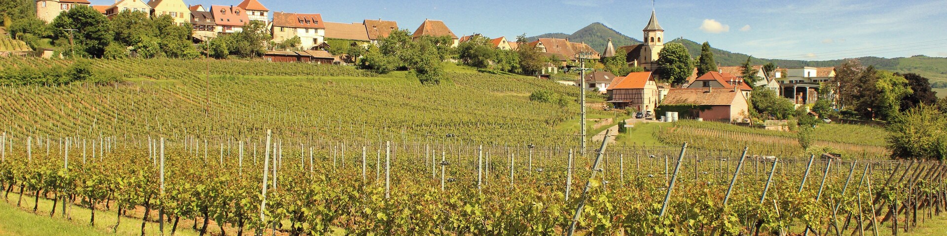 2017-05-21-10-18-03_Les Forts Trotters_au Sentier des Grands Crus