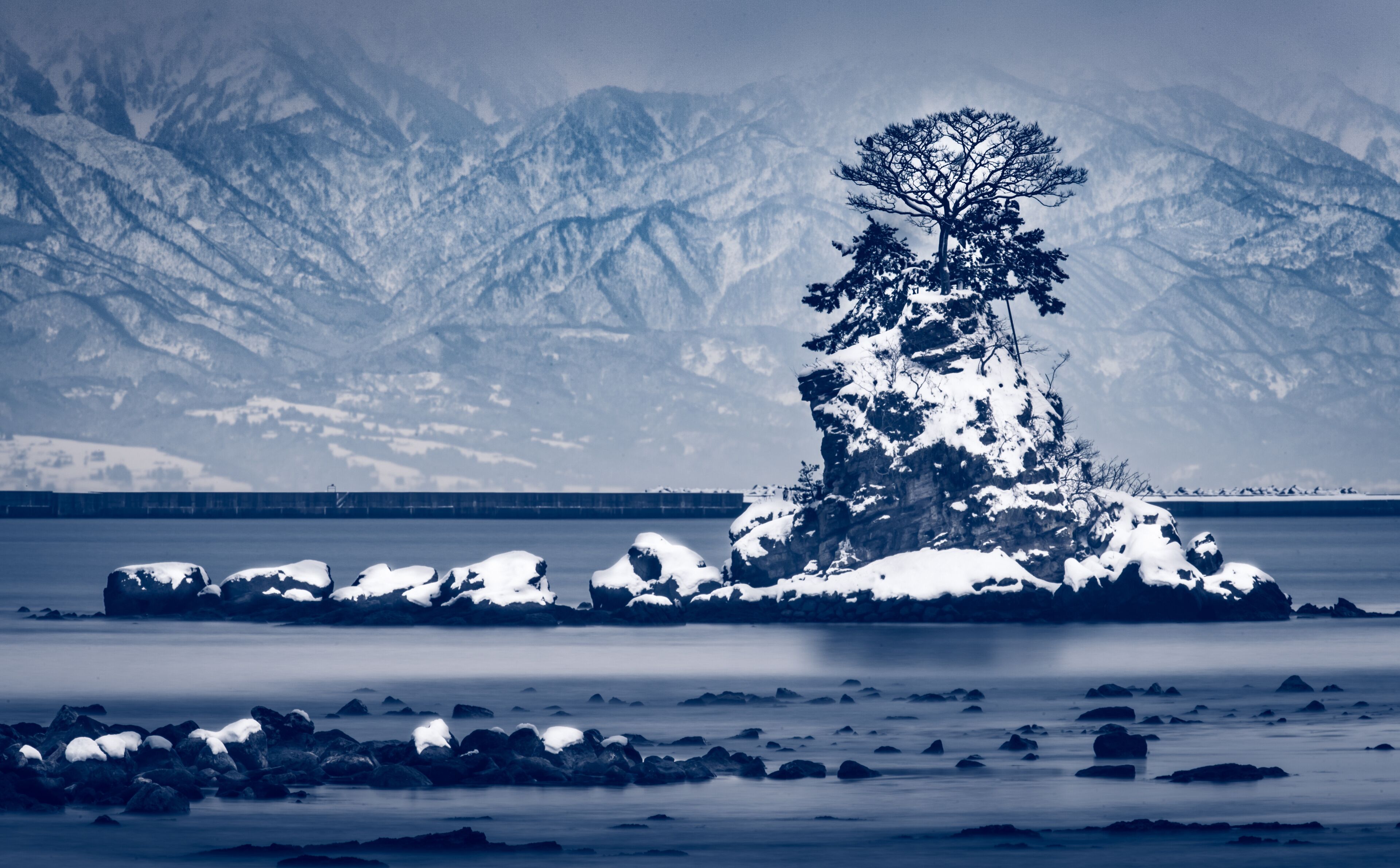 Ilha coberta de neve com uma árvore solitária em primeiro plano e montanhas ao fundo.