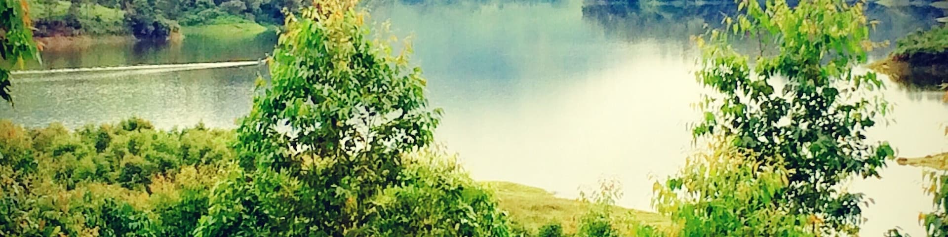 In the midst of tea garden at Munnar.