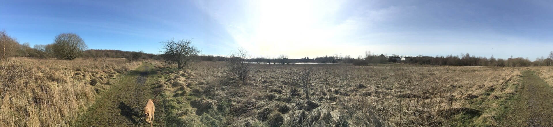 Greenhead Moss Community Nature Park