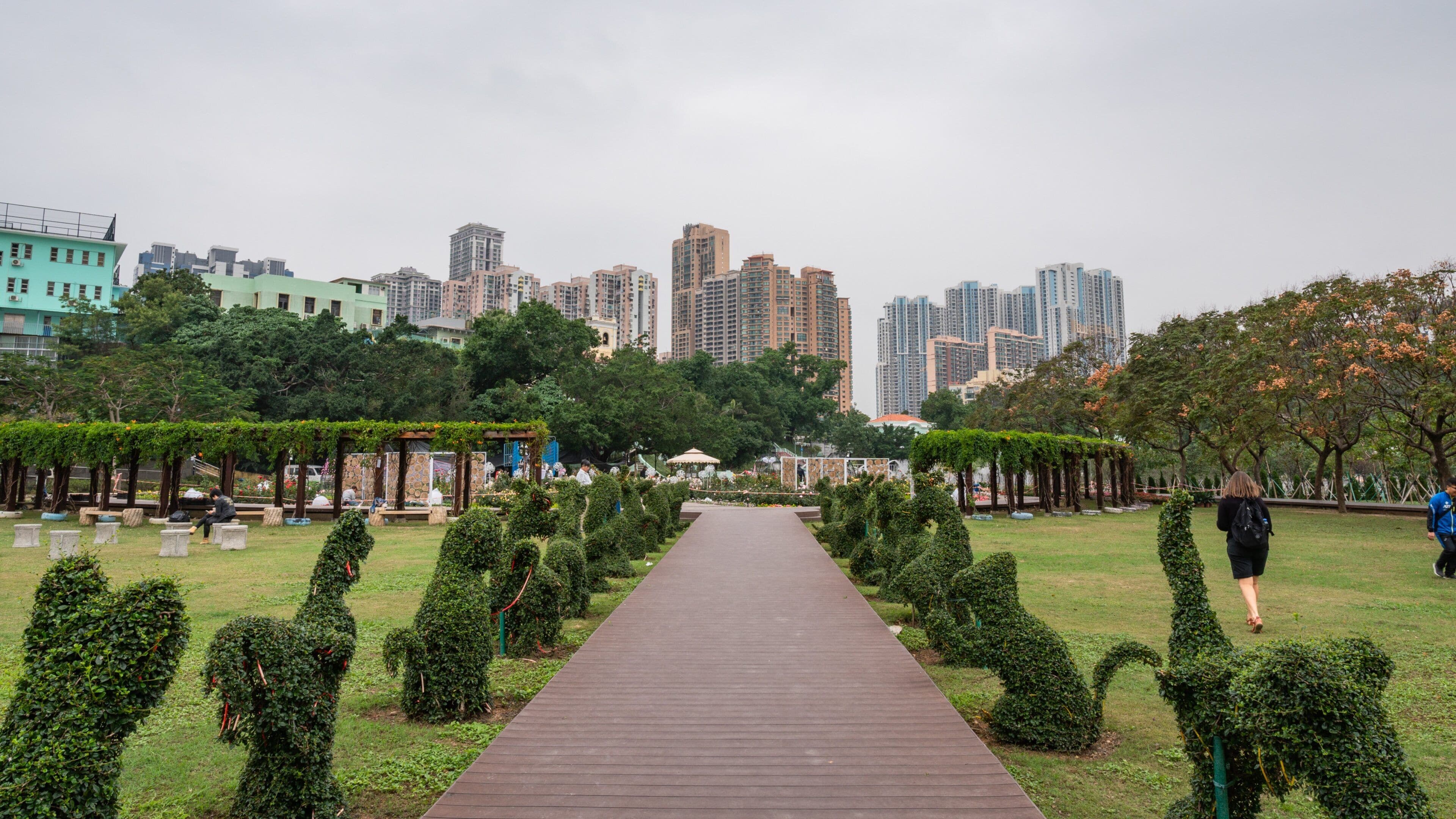 Um parque com um caminho de madeira, arbustos bem aparados e edifícios altos ao fundo.