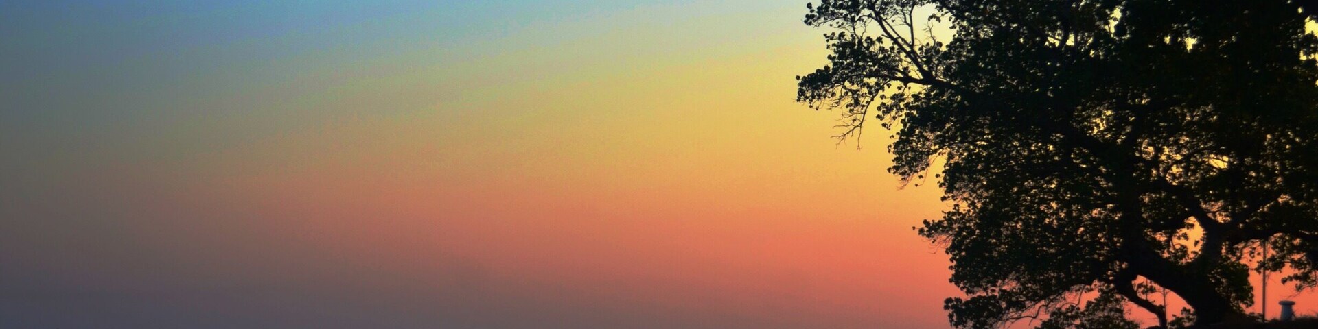 Um pôr do sol sobre um mar tranquilo, com rochas ao primeiro plano e uma árvore em silhueta contra o céu.