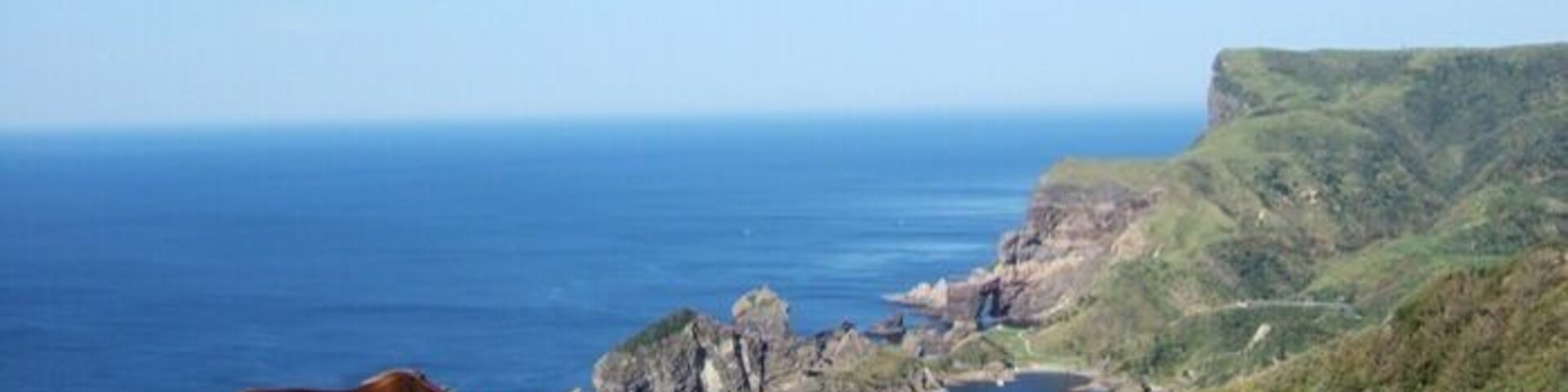 行きたーい!
#隠岐の島