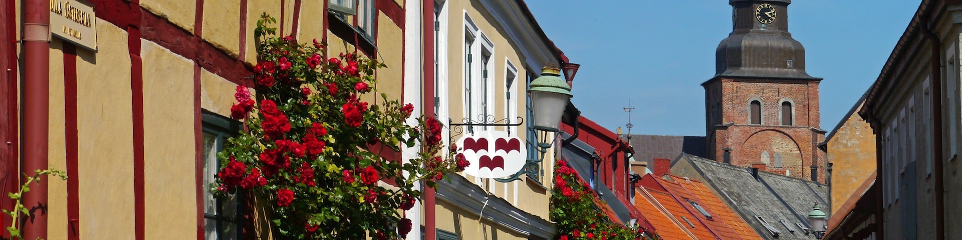 Ystad featuring street scenes, flowers and a small town or village