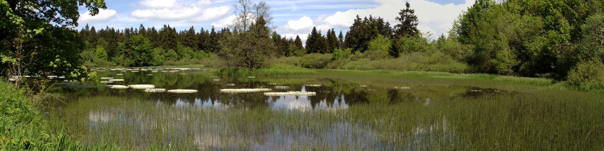 This is a picture of the protected area listed at WDPA under the ID