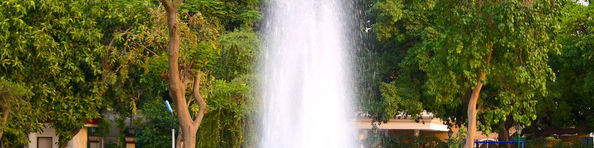 Nicco Park featuring a fountain and a garden