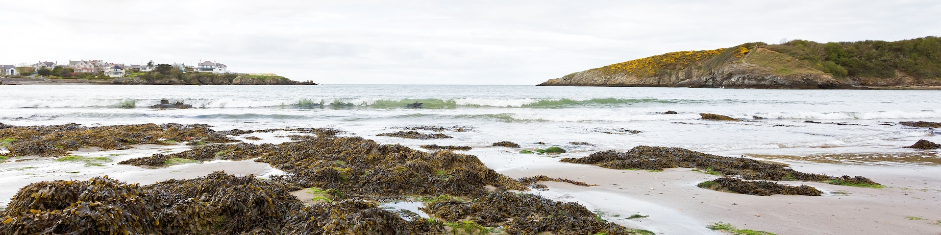 Uma praia rochosa com algas marinhas, ondas e uma colina distante com casas.