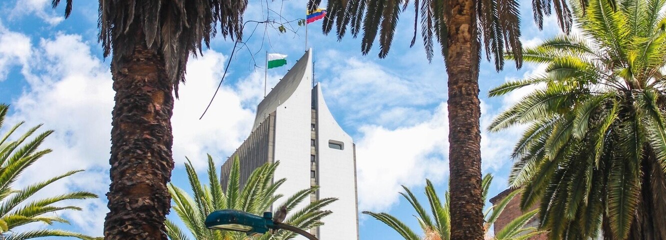 2 trademarks from Medellin. Palm trees and El Edificio Coltejer.
Did you know? It's design was inspired by a needle, #Architecture