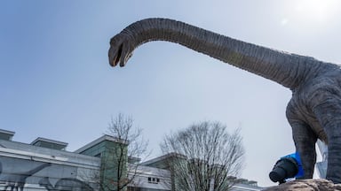 Uma estátua de dinossauro, um edifício com a inscrição 'DINOSAUR KINGDOM EUKUI' e árvores sem folhas.