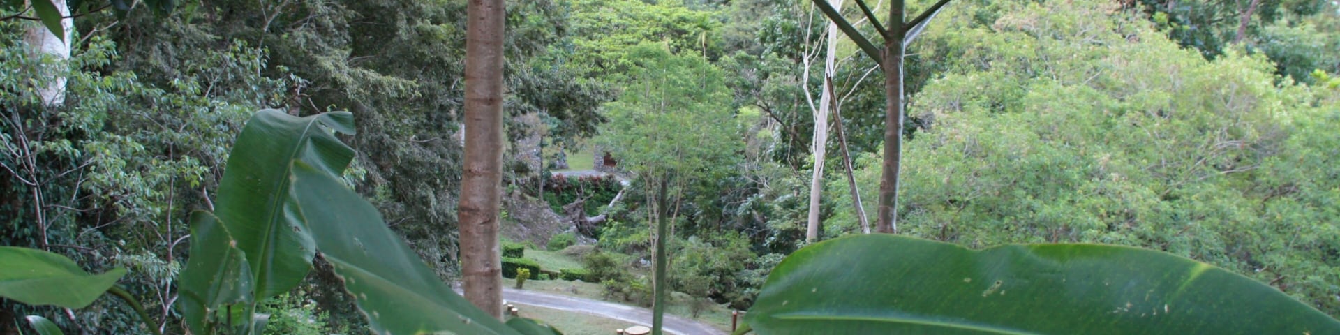 Taitung County Beinan Township Jhihben National Forest Recreation Area