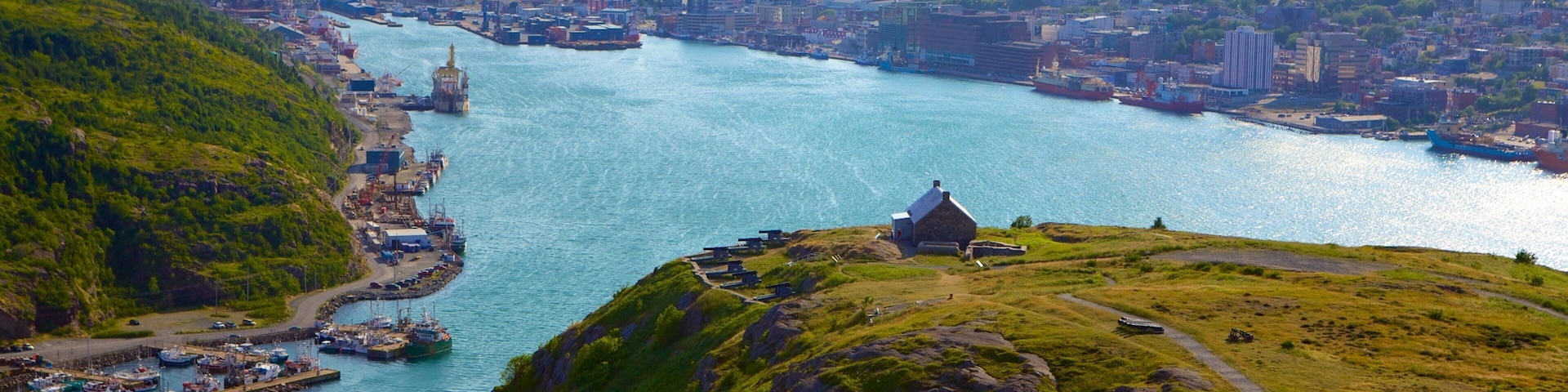 Signal Hill mostrando paisagens litorâneas, paisagem e uma cidade
