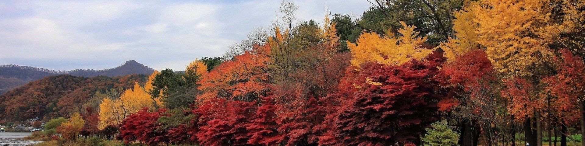 A beautiful island full with colourful autumn leaves