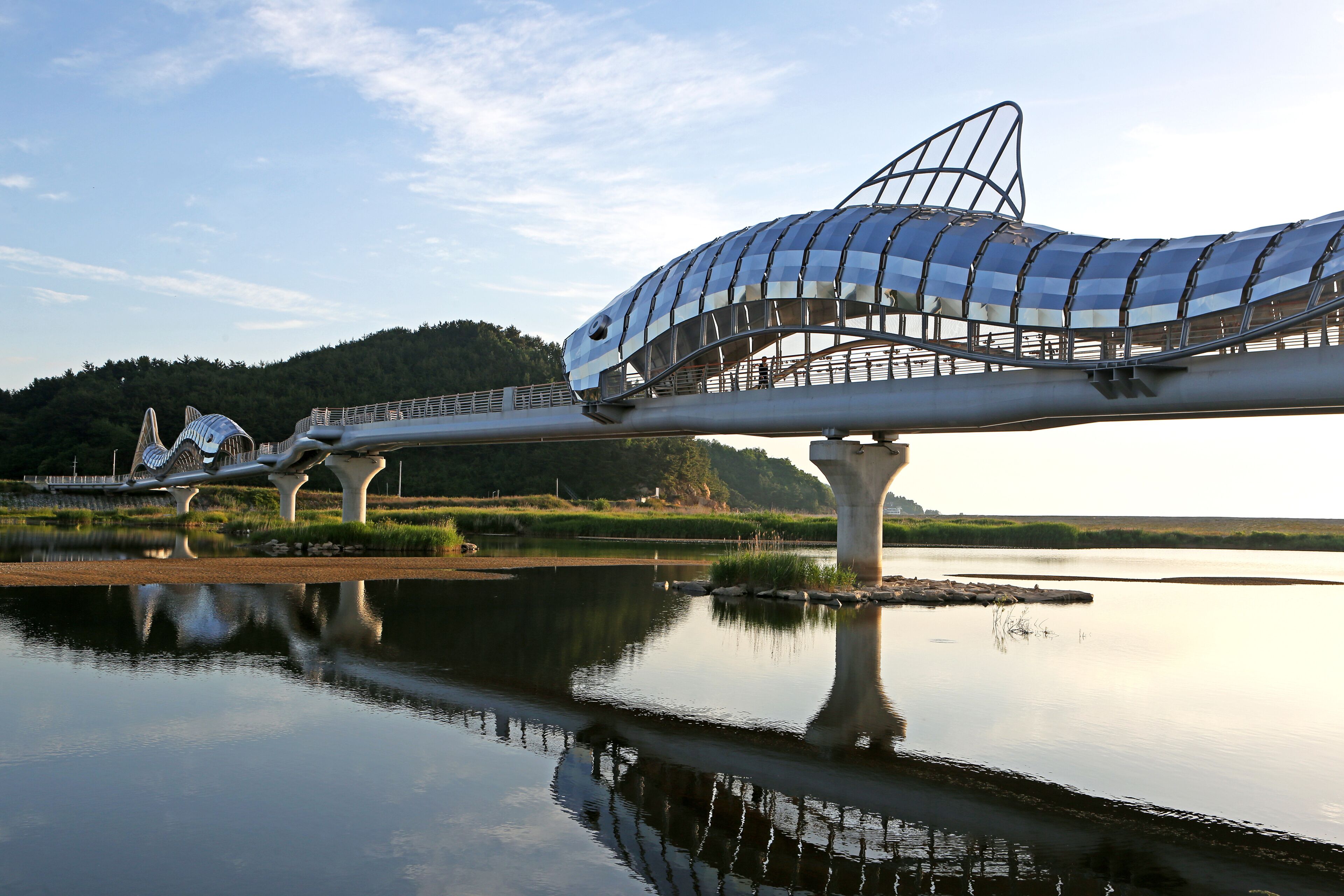 Uma ponte com design semelhante ao de um peixe sobre um rio calmo, com vegetação e colinas ao fundo.