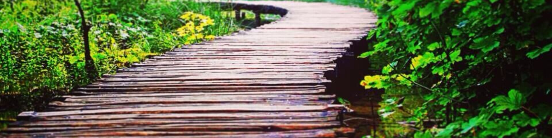 Do not follow where the path may lead...instead, go where there is no path and leave a trail -Ralph Waldo Emerson #plitvice #croatia #nationalpark