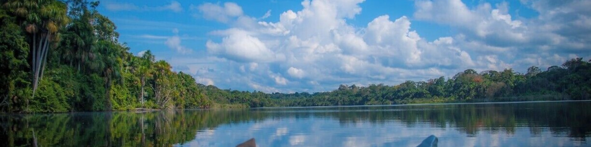 Cocococha lake deep in the Tambopata National Park. It forms an important habitat for many of the endangered and emblematic species such as macaws, black caimans and giant river otters that can feed and reproduce in peace here.
#nationalpark #tambopata #peru #amazon #troveon