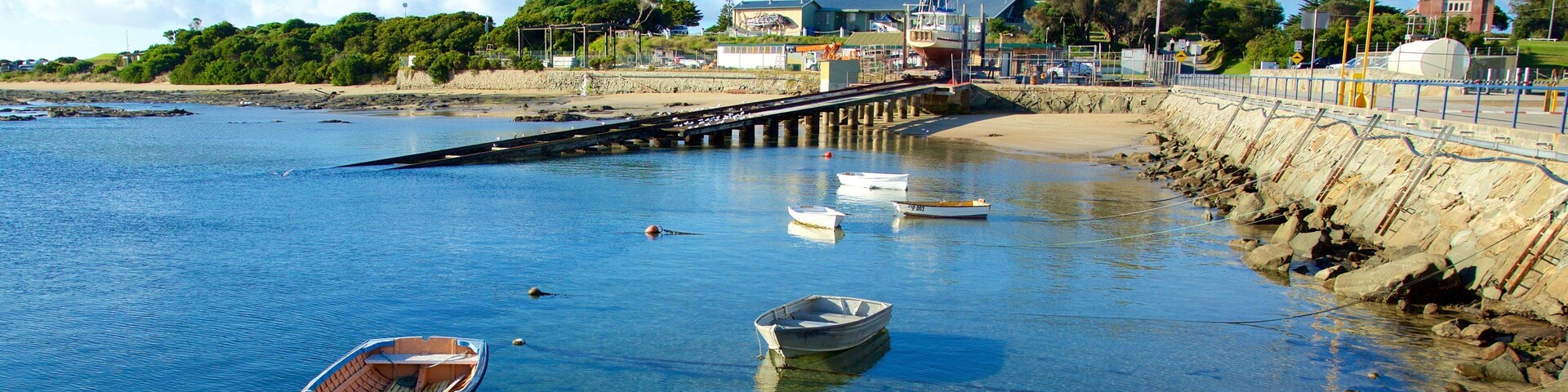 Apollo Bay Harbour featuring boating and general coastal views
