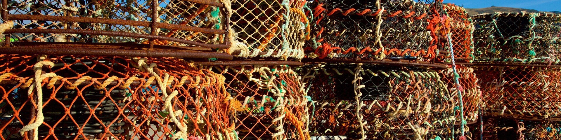 Apollo Bay Harbour showing fishing