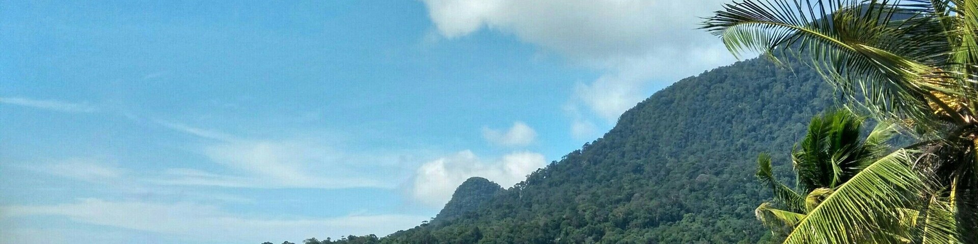 Uma praia com areal, mar calmo e uma colina arborizada ao fundo.