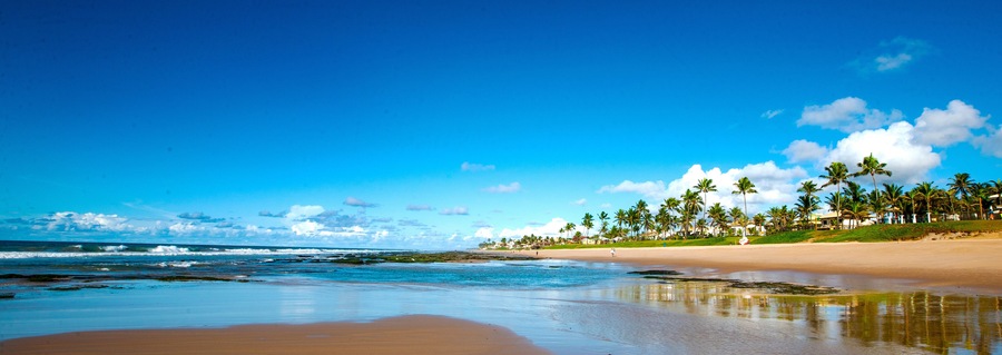 Uma praia com águas azul-claras, areal arenoso e palmeiras.